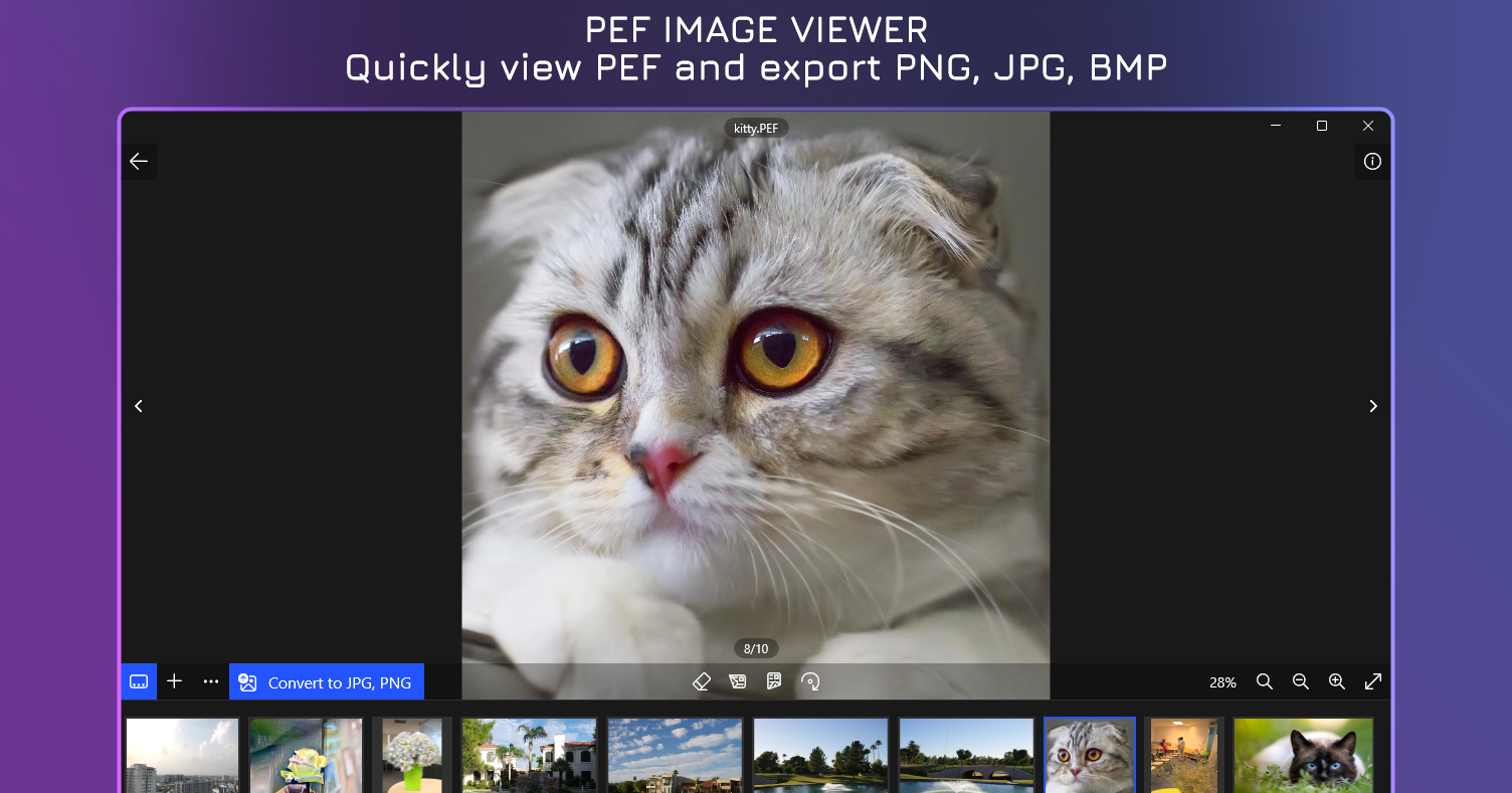 PEF Viewer - PEF to JPG