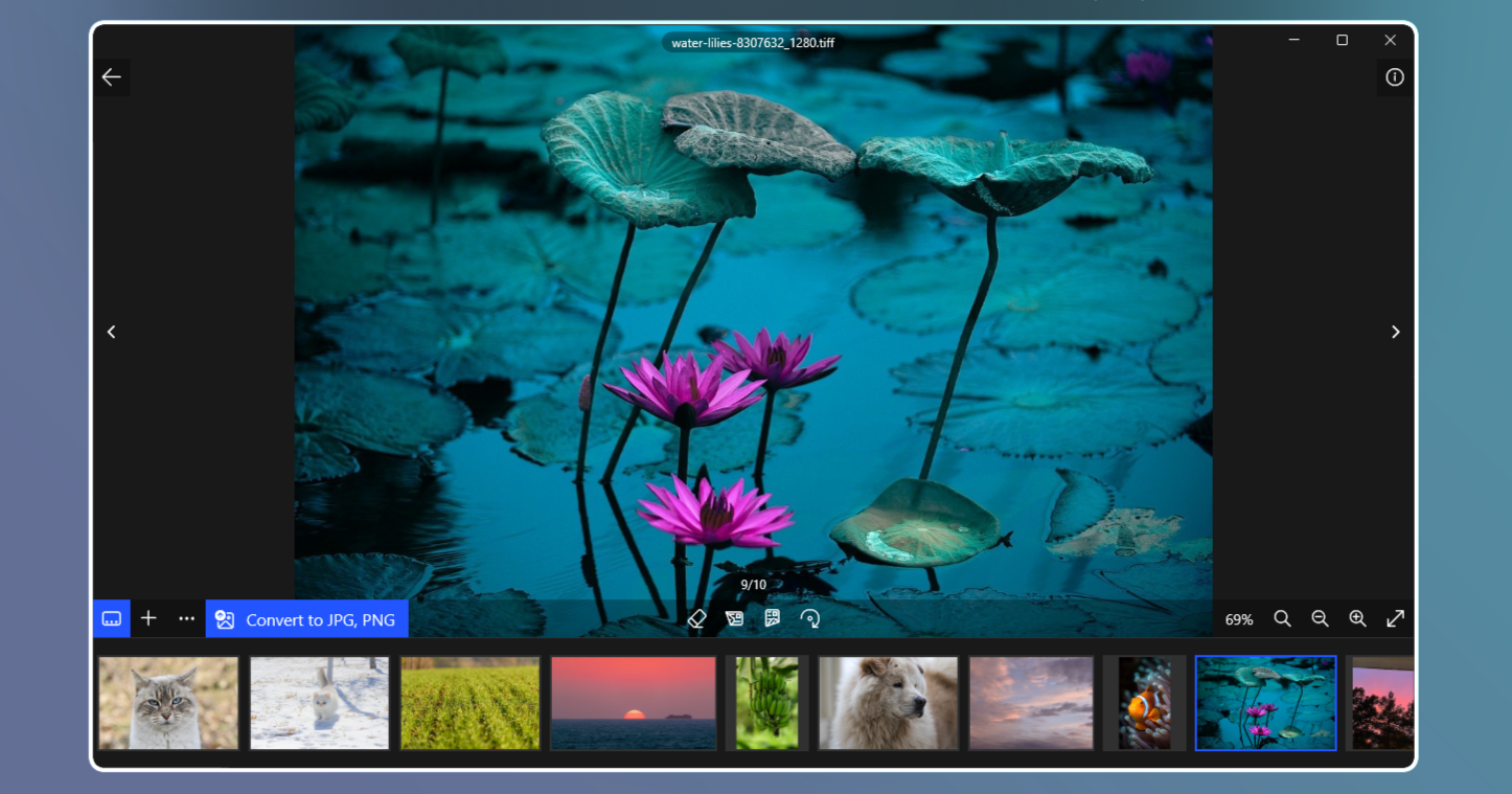 TIFF Viewer - TIFF to JPG